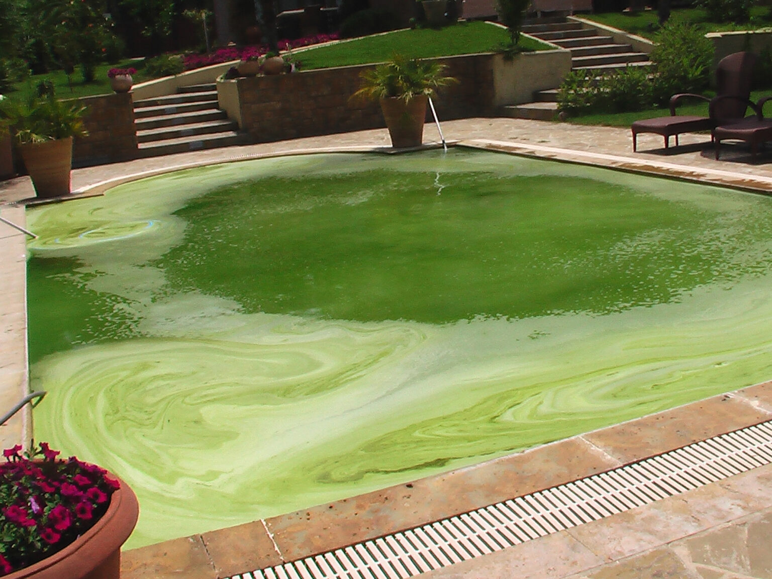 comment aspirer les algues dans le fond de la piscine - maison tradi